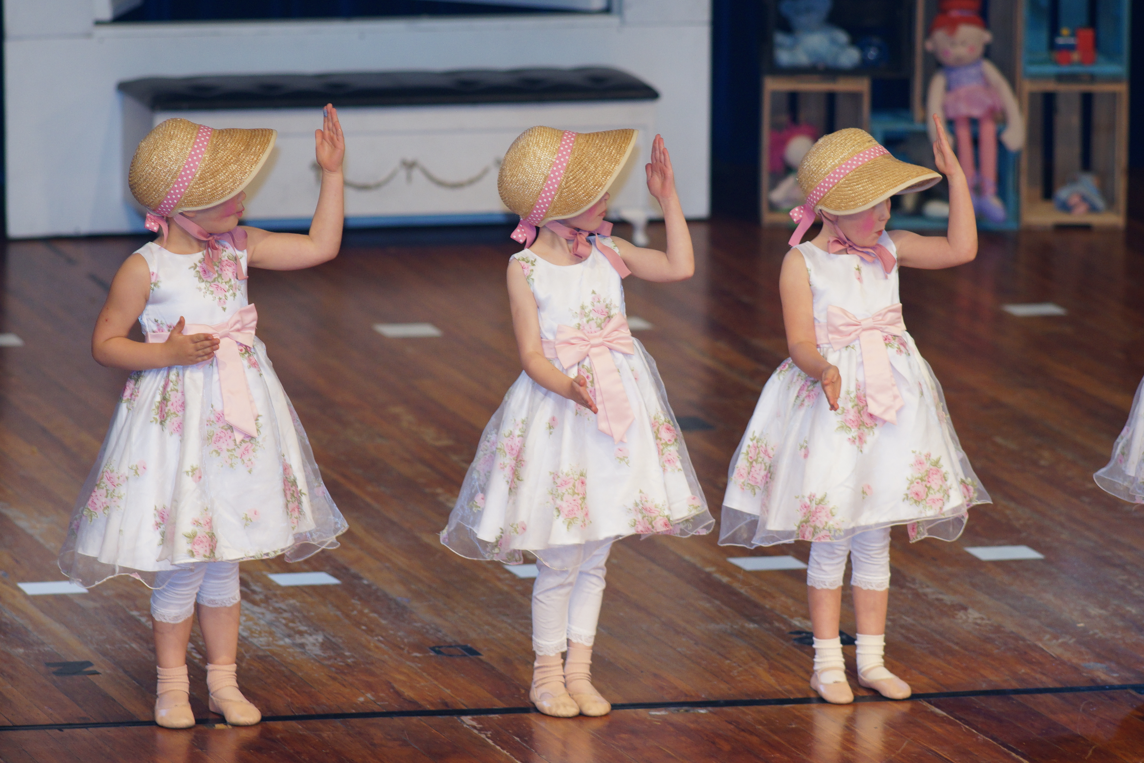 Enrol & Login | Wellington Ballet Studio