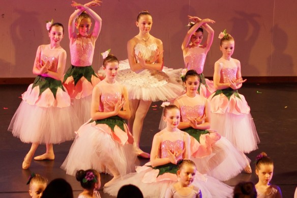 Gallery | Wellington Ballet Studio