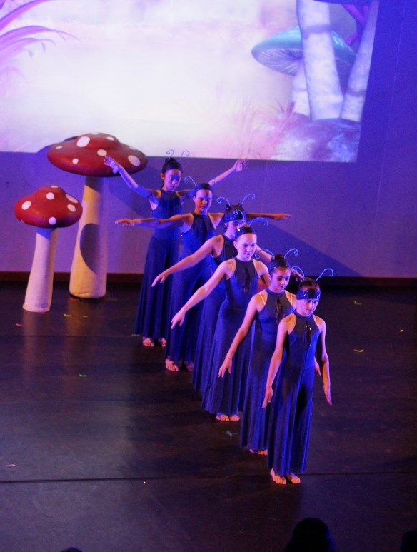Gallery | Wellington Ballet Studio