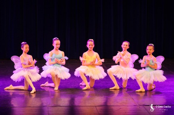Gallery | Wellington Ballet Studio