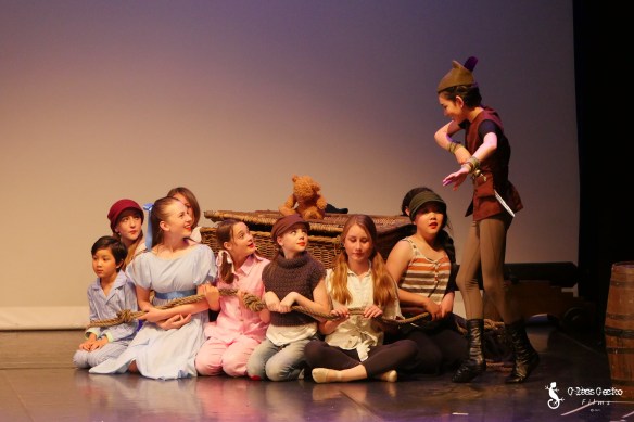 Gallery | Wellington Ballet Studio